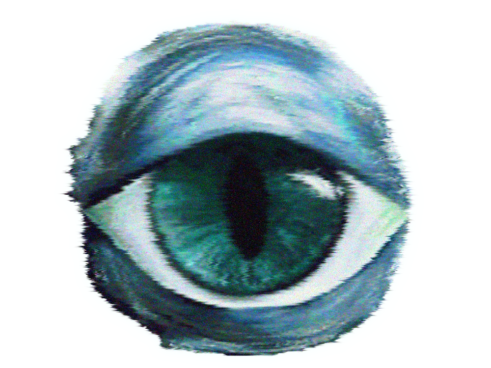 C-325 | ROOMS Low detailed Fan ideas Wiki | Fandom