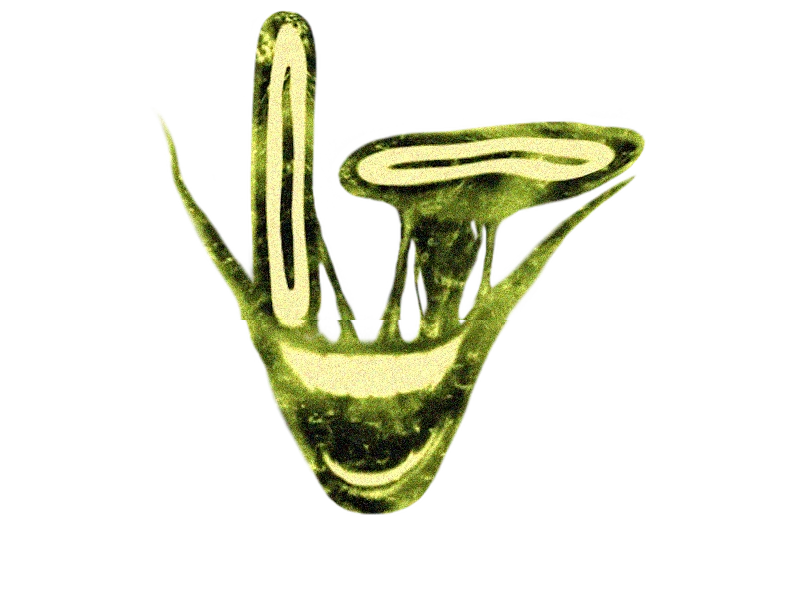 CCC-25 (A-105RLD's Version) | ROOMS Low detailed Fan ideas Wiki | Fandom