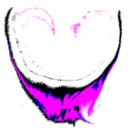 MOB-1 (The Smiling Bisect) | ROOMS: Low Detailed Wiki | Fandom