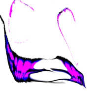 B-140 | ROOMS: Low Detailed Wiki | Fandom