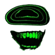 G-235 (The Lethargic Guitar/Silly Guitar) | ROOMS: Low Detailed Wiki ...