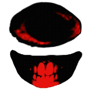 Discuss Everything About ROOMS: Low Detailed Wiki | Fandom