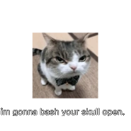 Joke Entities | ROOMS: Low Detailed Wiki | Fandom