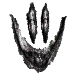 B-60 (The Trickster Multi Monster) | ROOMS: Low Detailed Wiki | Fandom