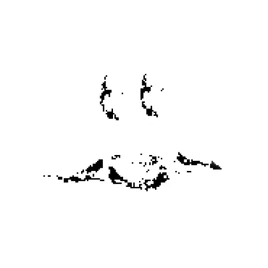 Admin Exclusive Content | ROOMS: Low Detailed Wiki | Fandom