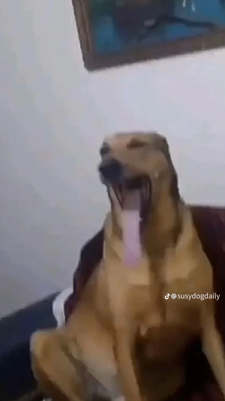 The gug. | The PDA.document Files Wiki | Fandom