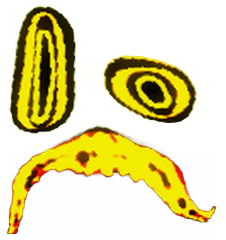 A-5 | Rooms: reincarnated Wiki | Fandom