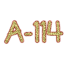 A-114 | Rooms Reinforced Wiki | Fandom