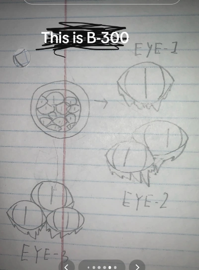 B-300 | Rooms Re-Take Wiki | Fandom