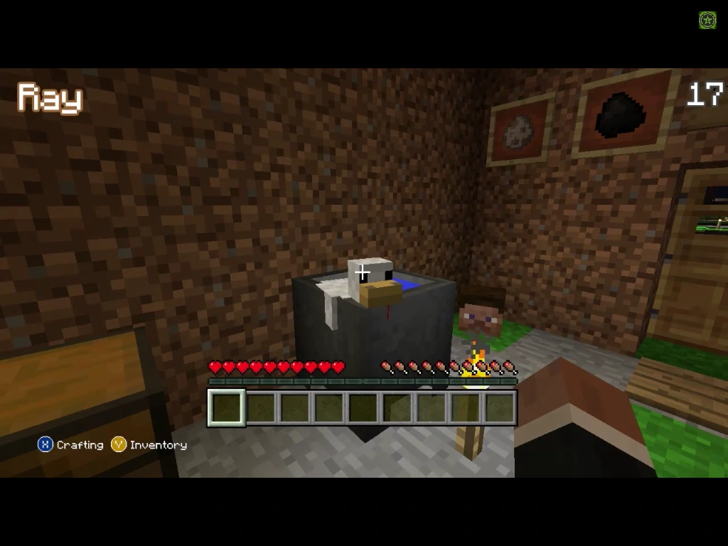 Roosterteeth Minecraft Ray
