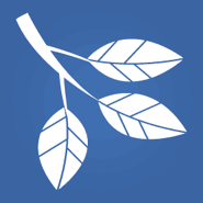 Eyrie Dynasties | Root Wiki | Fandom