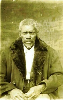 Chicken George | Roots Wiki | Fandom