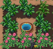 Olla | Roots of Pacha Wiki | Fandom