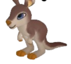 Boomer Kangaroo | RoPets Wiki | Fandom