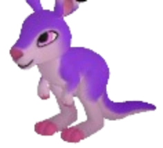 Roo Kangaroo | RoPets Wiki | Fandom