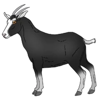 Goats | RopinRanch Wiki | Fandom