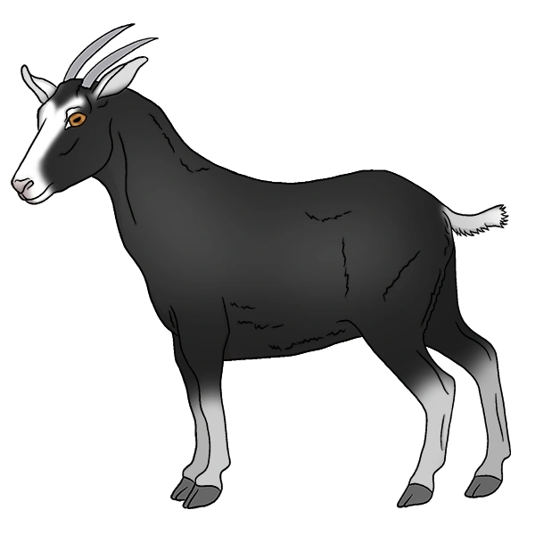 Goats | RopinRanch Wiki | Fandom