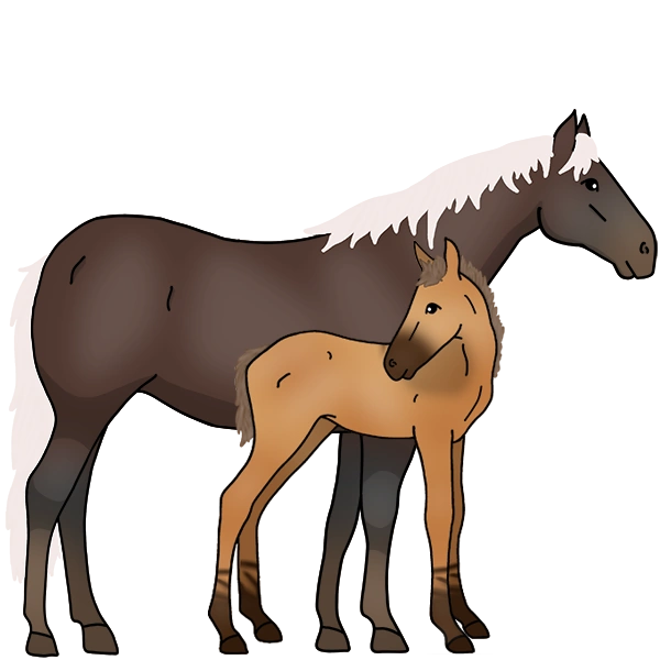 Grade Horse | RopinRanch Wiki | Fandom