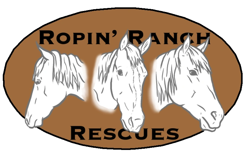 The Rescue | RopinRanch Wiki | Fandom