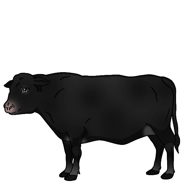 Cows | RopinRanch Wiki | Fandom