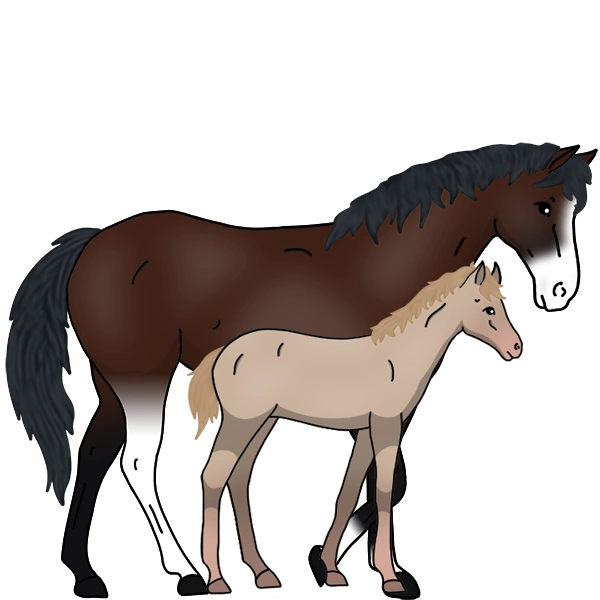 Appendix Quarter Horse | RopinRanch Wiki | Fandom