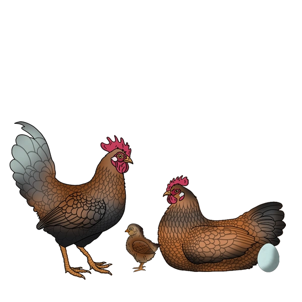 Chickens | RopinRanch Wiki | Fandom