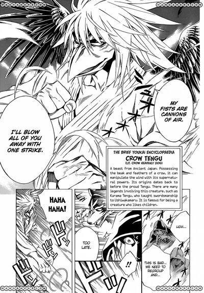 Crow Tengu Rosario Vampire Wiki Fandom