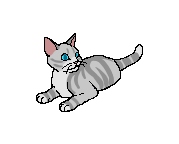 Lilykit | Rosestar's legacy Wiki | Fandom