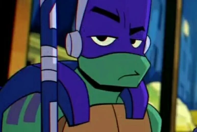 Tmnt Night Protector Midnight Death