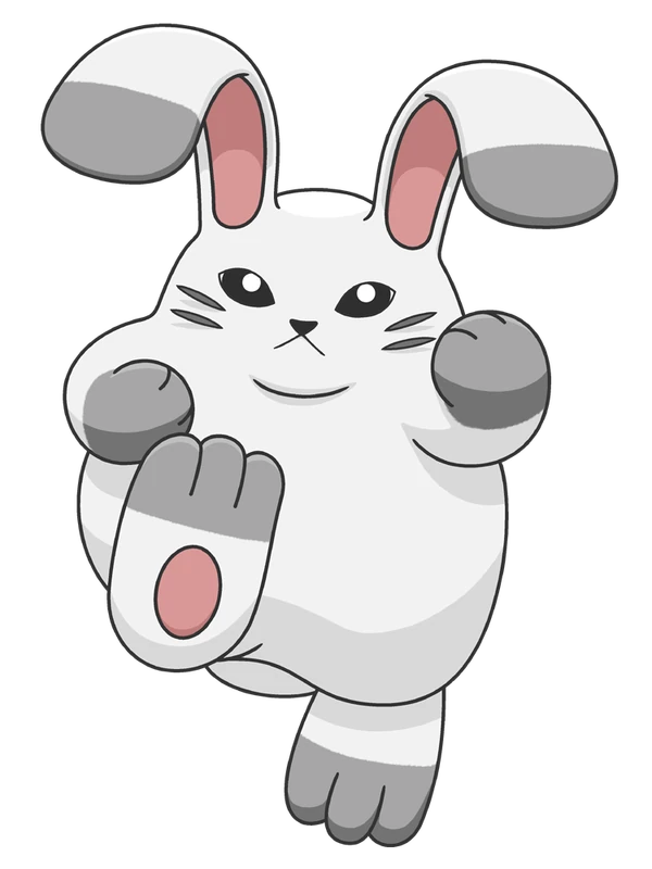 Chubbit | Rotund Animals Wiki | Fandom