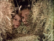 Spaghetti Pig Out | Round The Twist Wiki | Fandom