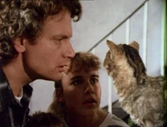 Spaghetti Pig Out | Round The Twist Wiki | Fandom