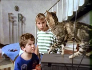 Spaghetti Pig Out | Round The Twist Wiki | Fandom