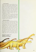 Brontosaurus | Rourke Dinosaurs Wiki | Fandom