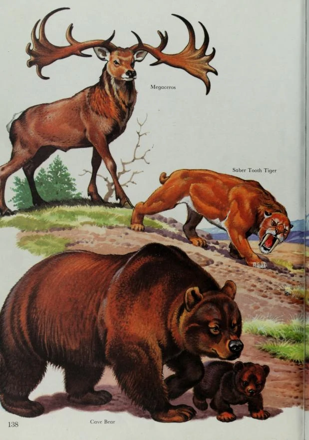Mastodon Rourke Dinosaurs Wiki Fandom