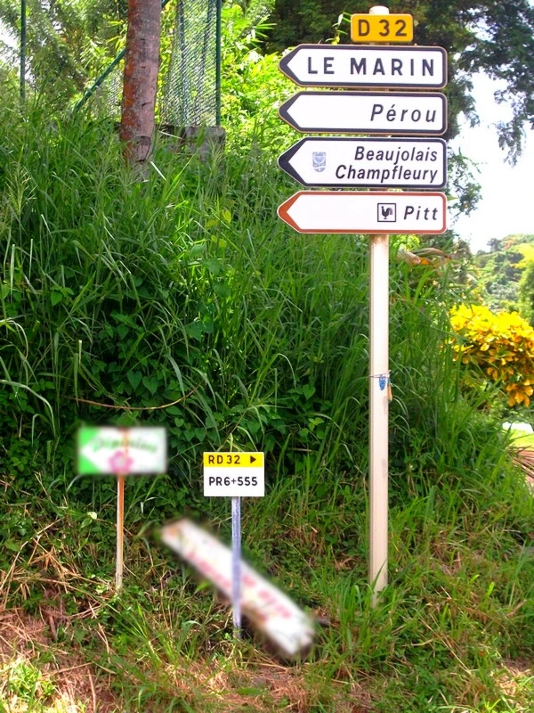 Route départementale française D32 (972) | WikiSara | Fandom