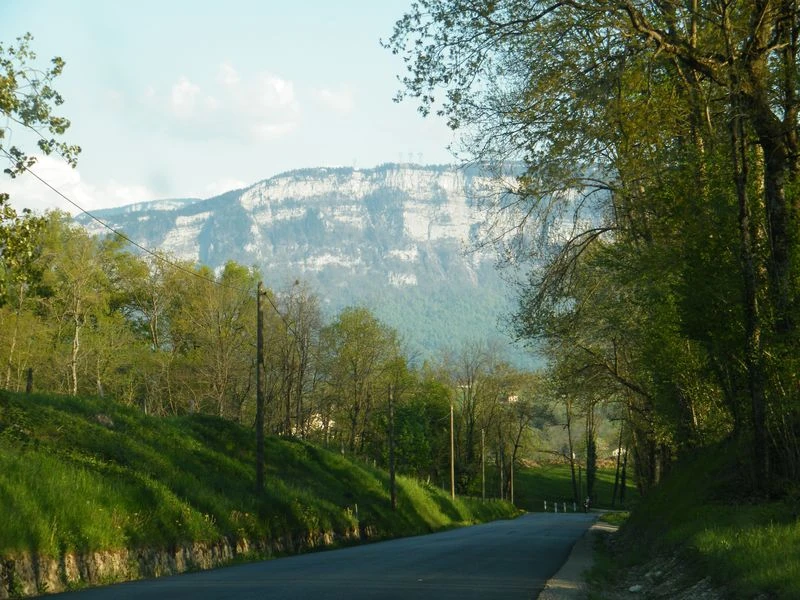 Route nationale française 521 | WikiSara | Fandom