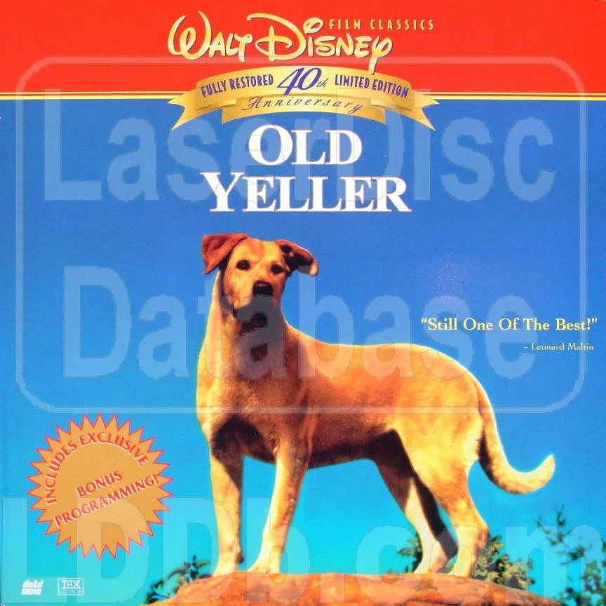 Old Yeller (video)/Gallery | Rovio Friends Wiki | Fandom