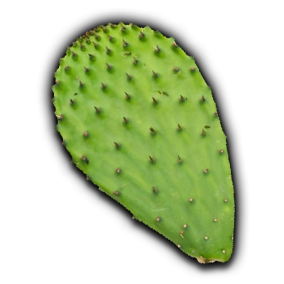 Cactus Flesh | Rovive Wiki | Fandom