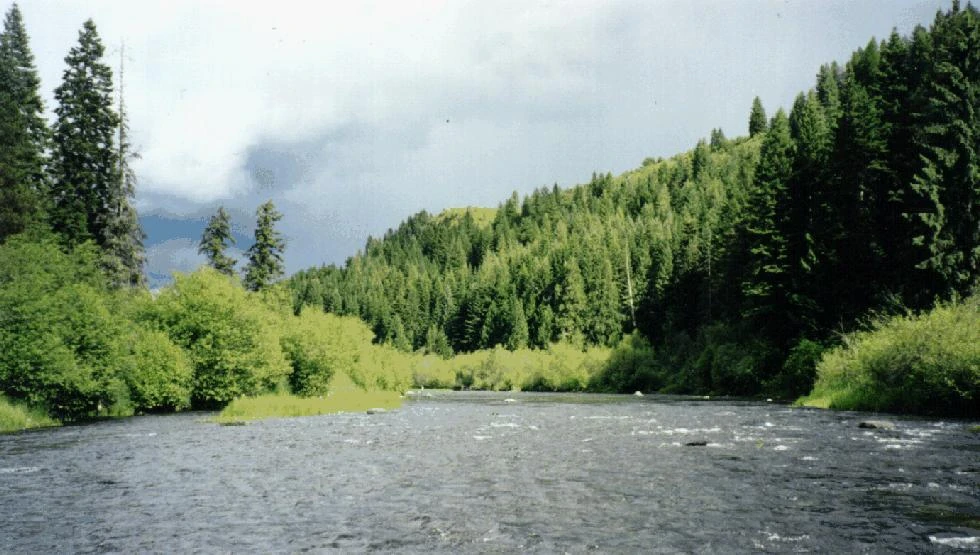 Fluviul Verde | RoWikicity | Fandom