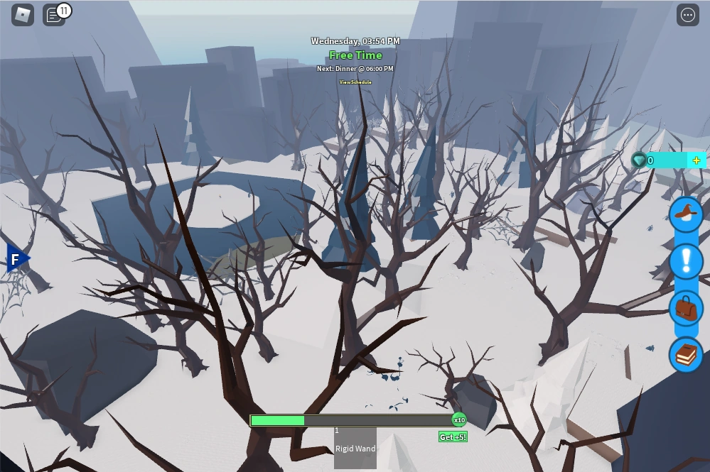 Dark Forest | Ro-Wizard Wiki | Fandom