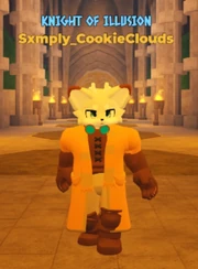 Knights of Illusion | Ro-Wizard Wiki | Fandom