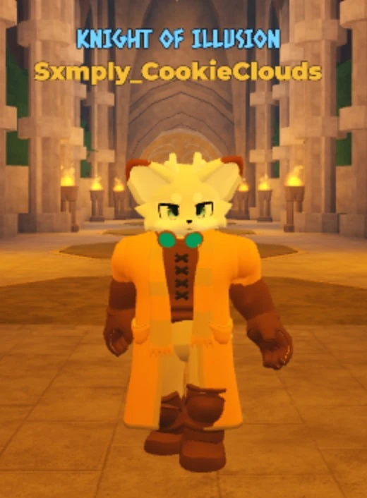 Knights of Illusion | Ro-Wizard Wiki | Fandom