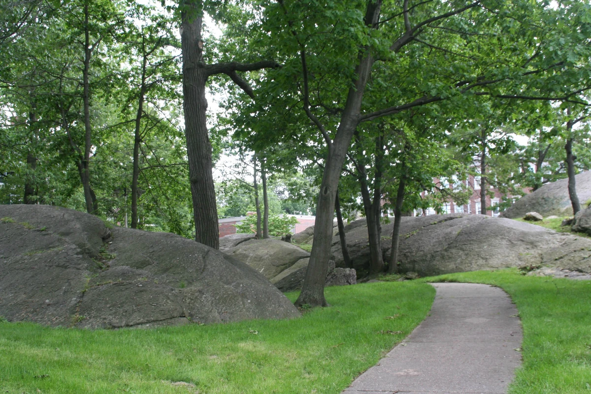 Roxbury Puddingstone | Right Here in Roxbury Wiki | Fandom