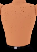Human Bodice | Royale High Wiki | Fandom