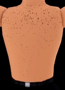 Human Bodice | Royale High Wiki | Fandom