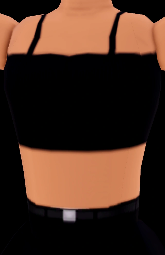 Human Bodice | Royale High Wiki | Fandom