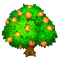 Apricot Tree | Royal Story Wiki | Fandom