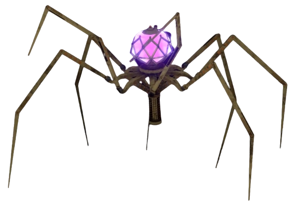 Arachela | Rozital Network Wiki | Fandom