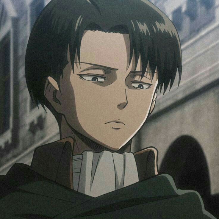 Levi Earth 84720 Rp Multiverse Database Wiki Fandom